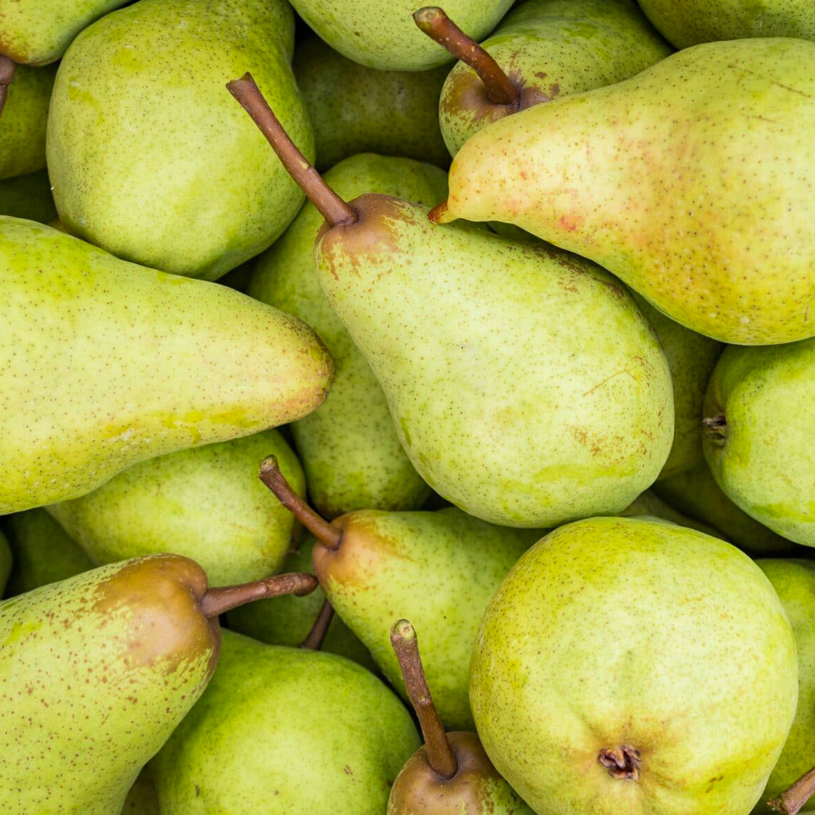 Inicio - Tierra, Color y Sabor, S.L.